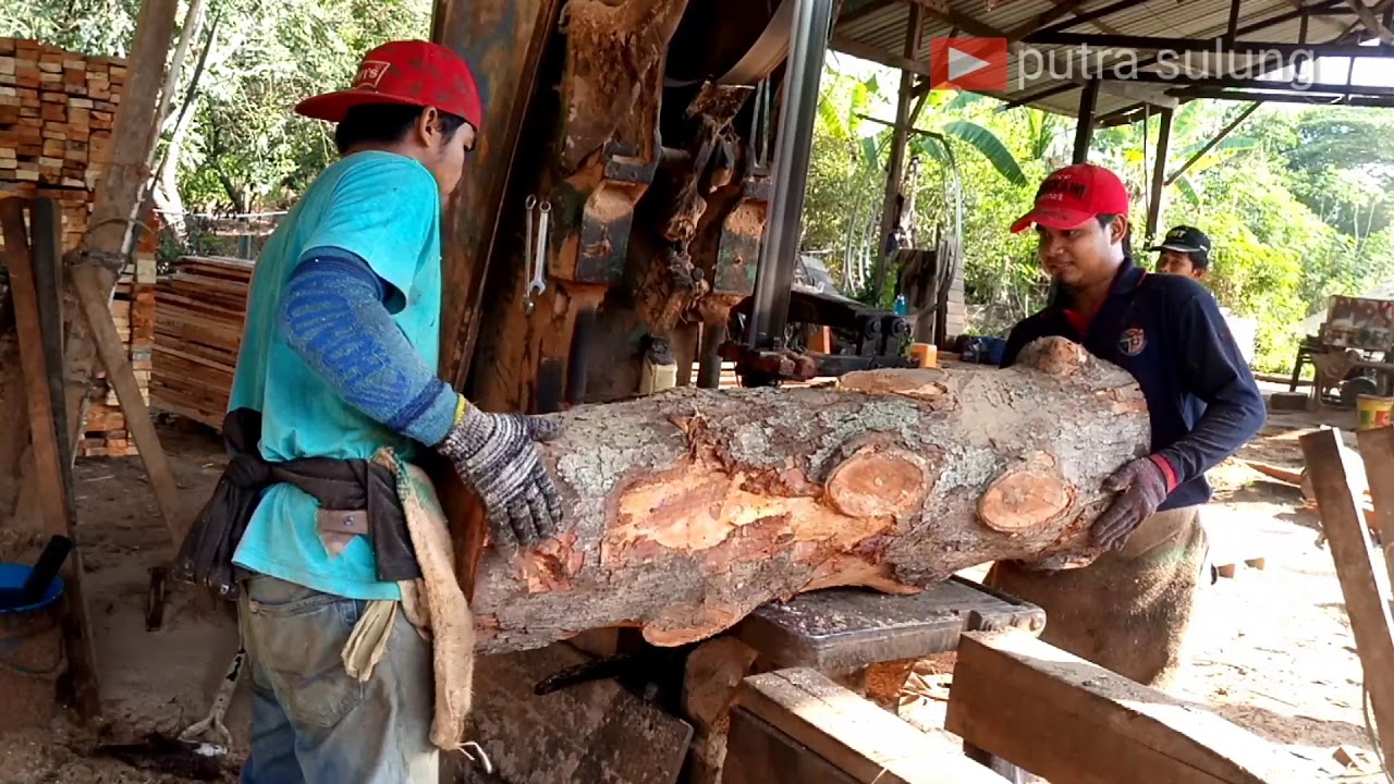 🔴 KAYUNYA MERAH // BAGUS ENGGAK YA KAYU MANGIS BUAT FURNITURE - YouTube