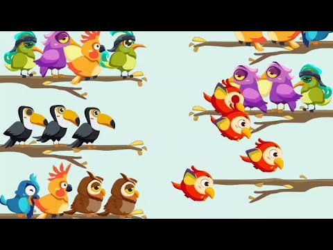 Cute Birds Color sort Game 🐦 | Match the birds👑 - YouTube