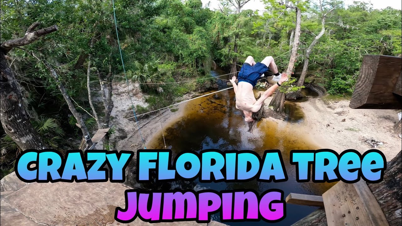 Crazy Florida tree jumping!! - YouTube