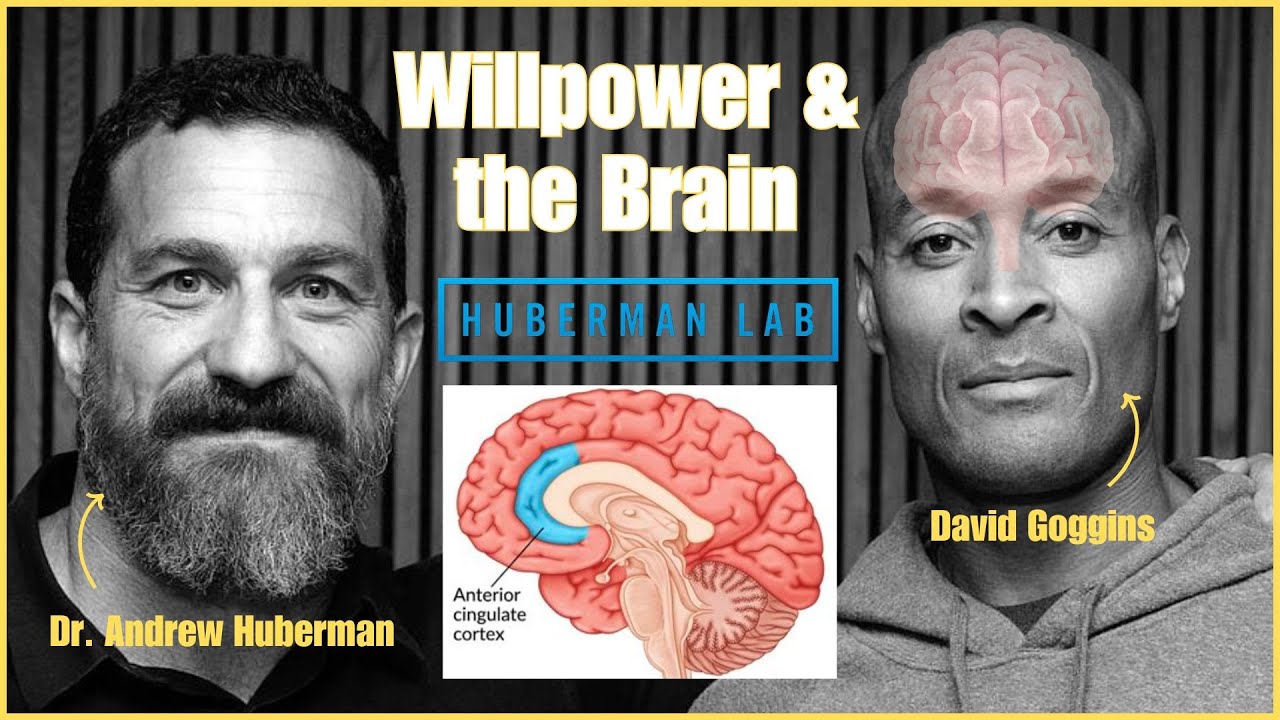 David Goggins is a Neuroscientist? | Willpower & the Anterior ...