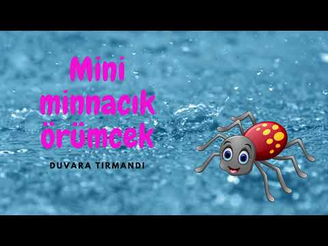 Mini Minnacık Örümcek Duvara Tırmandı | Eğlenceli ve Eğitici Bebek Şarkısı