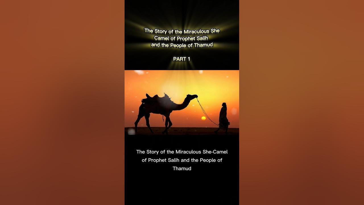 The Story of the Miraculous She-Camel of Prophet Salih and the People of Thamud#islam # ...