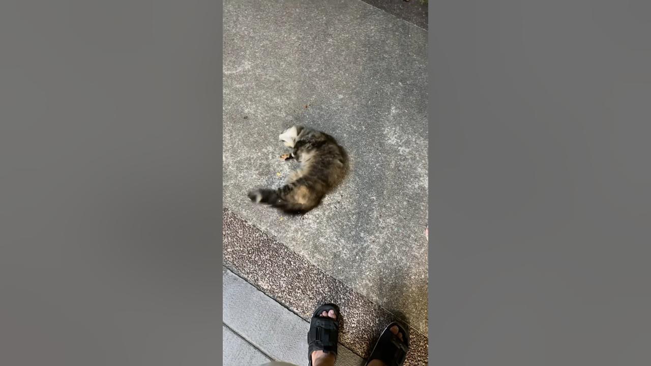 why does it roll like that - YouTube