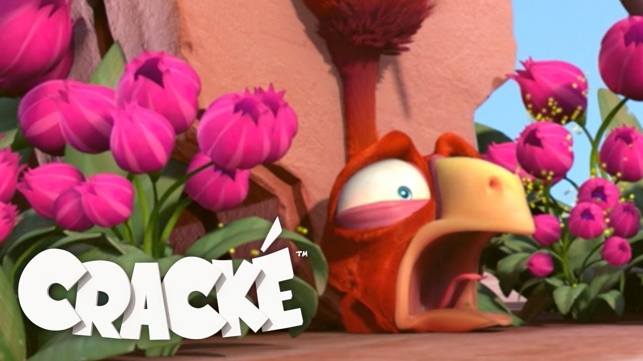 CRACKÉ - ATCHOO | Videos For Kids | by Squeeze - YouTube