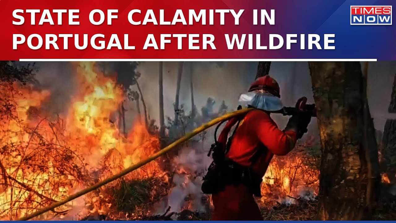 Portugal Wildfires: Thousands Of Firefighters Deployed After State of ...
