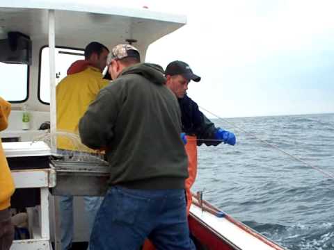 Halibut Fishing (Long lining) - YouTube