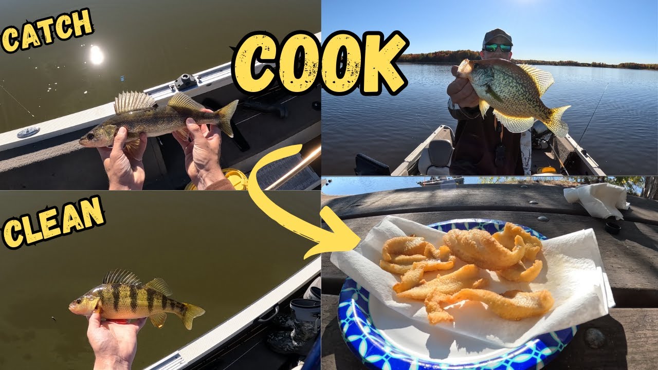 FALL Brawl CATCH & COOK - YouTube