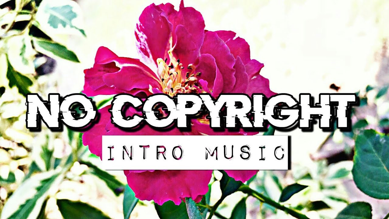 15+ No Copyright Intro Music for Youtube Videos | Free to use - YouTube