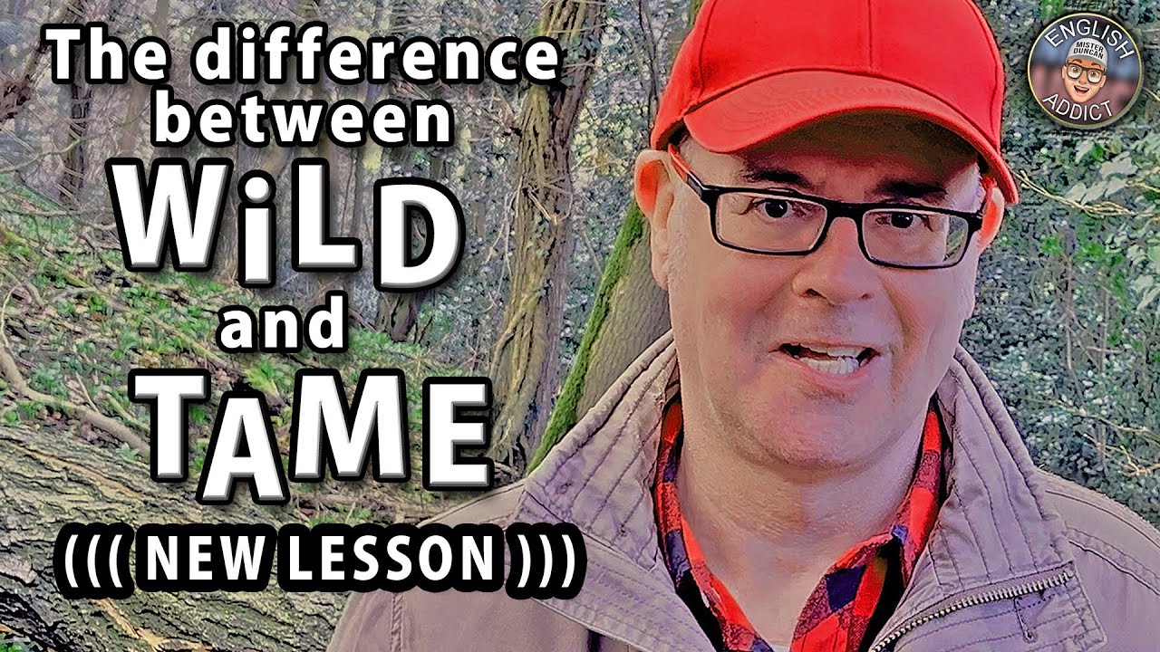 What is the difference between 'Tame' and 'Wild'? - Learn English words ...