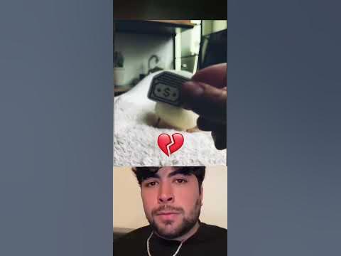 mr bombastic love love #patosgraciosos #love #shorts #chickengun - YouTube