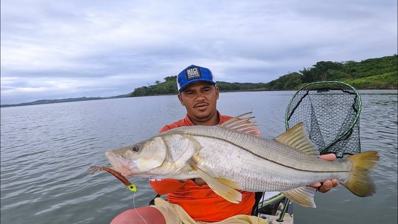 MELHOR ISCA PARA CAPTURAR ROBALO FLECHA GIGANTES - YouTube