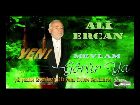 ali ercan
