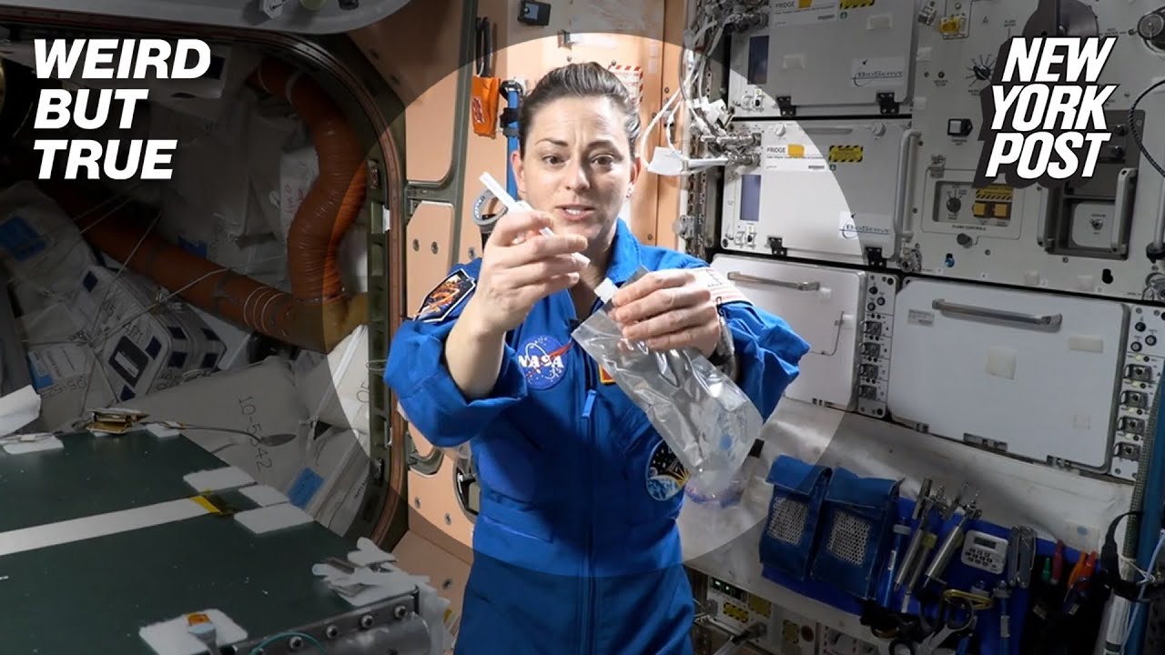 NASA turns astronaut urine into safe drinking water, $250k whale vomit ...