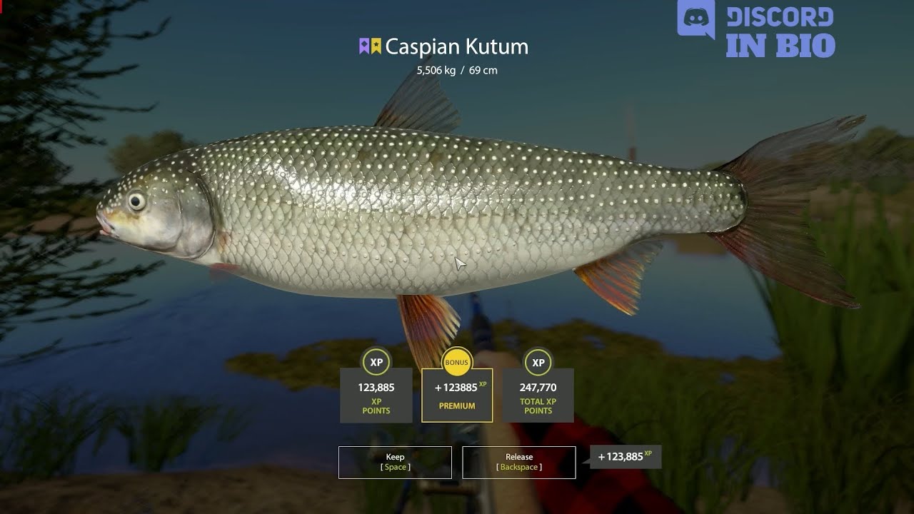 Akhtuba River spot, Trophy Caspian Kutum - #65 - Russian Fishing 4 ...