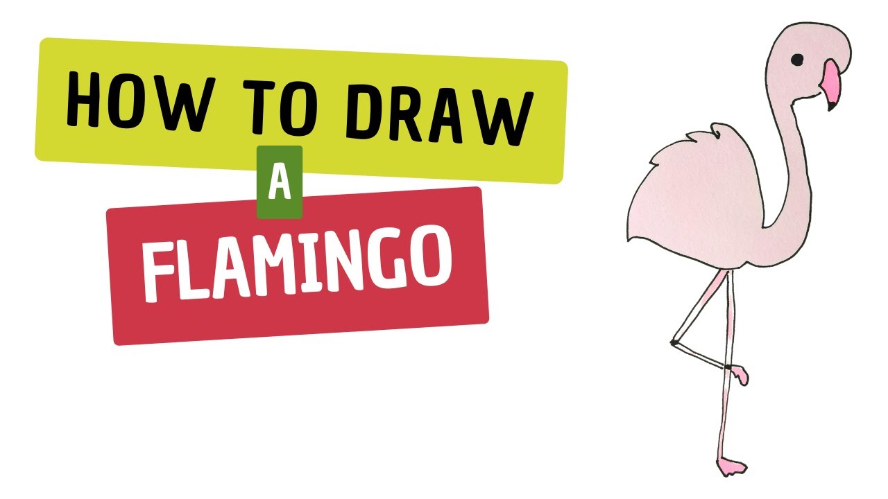 How To Draw a Cartoon Flamingo - YouTube