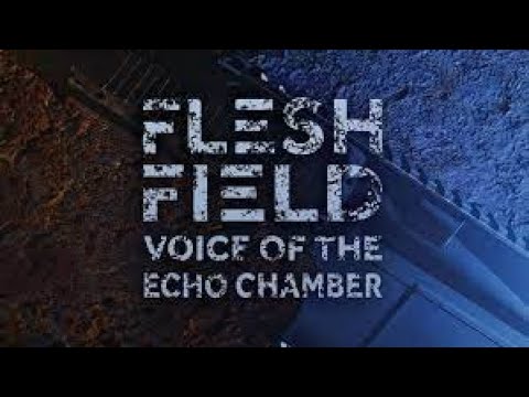 Flesh Field Voice of the Echo Chamber интервью Michael Nagy Русская ...
