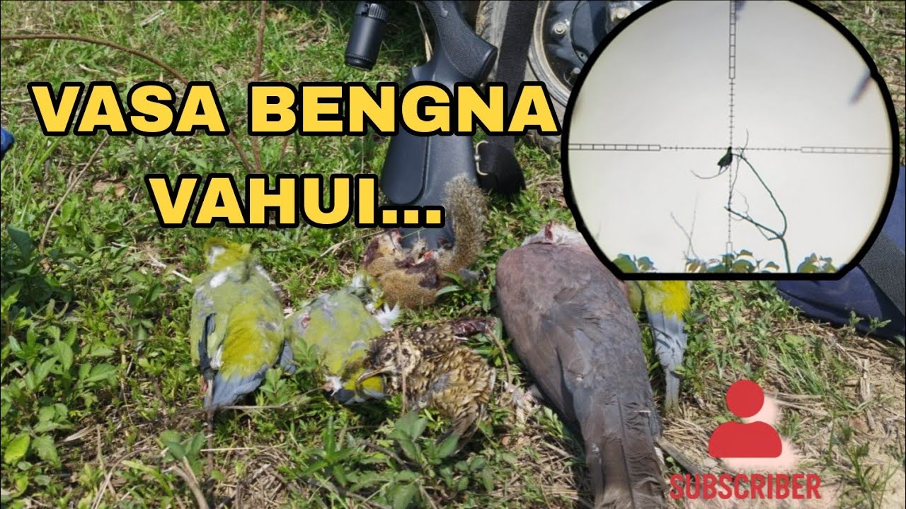 Hunting birds Zogam vahui kap na #october25 #missed target #PX120 # ...
