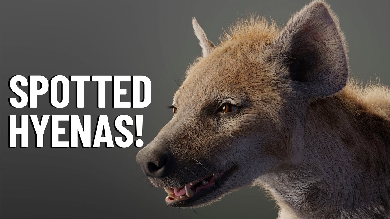 A Rare Look at the Secret Life of Spotted Hyena... - YouTube