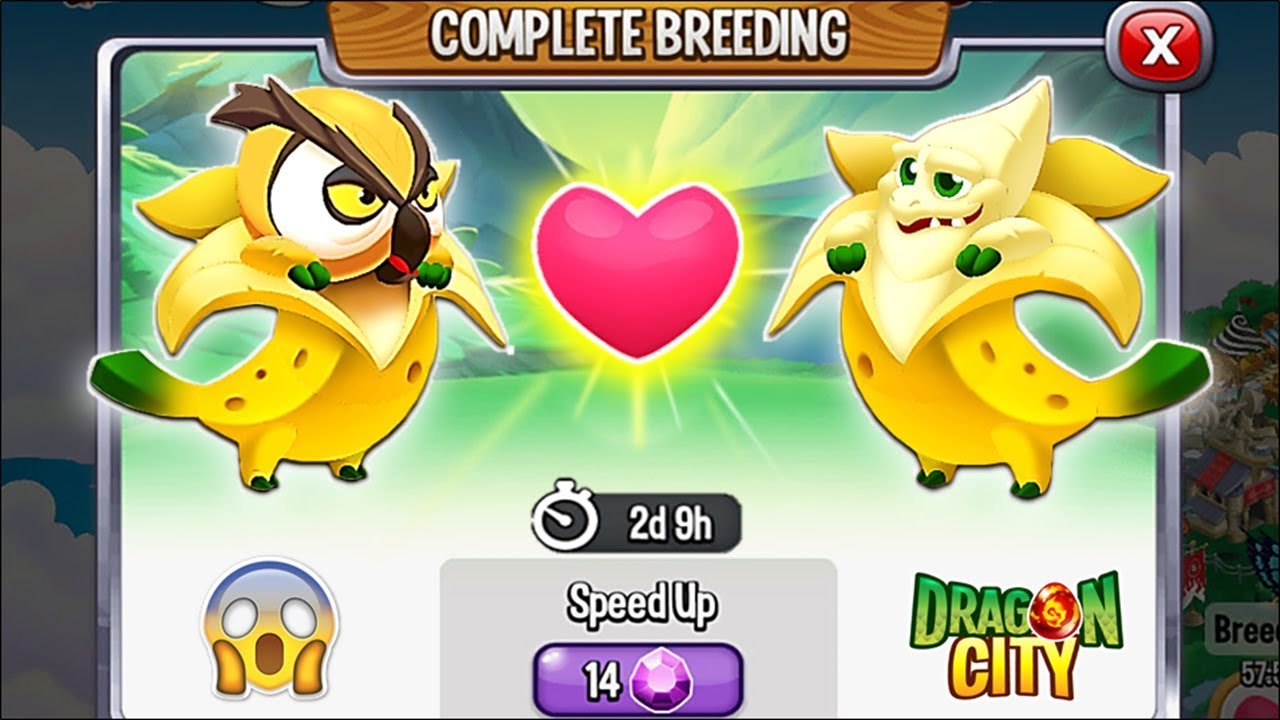 Dragon City: Banana Dragon vs Bananoss Dragon [EXCLUSIVE BREEDING] 😱 ...