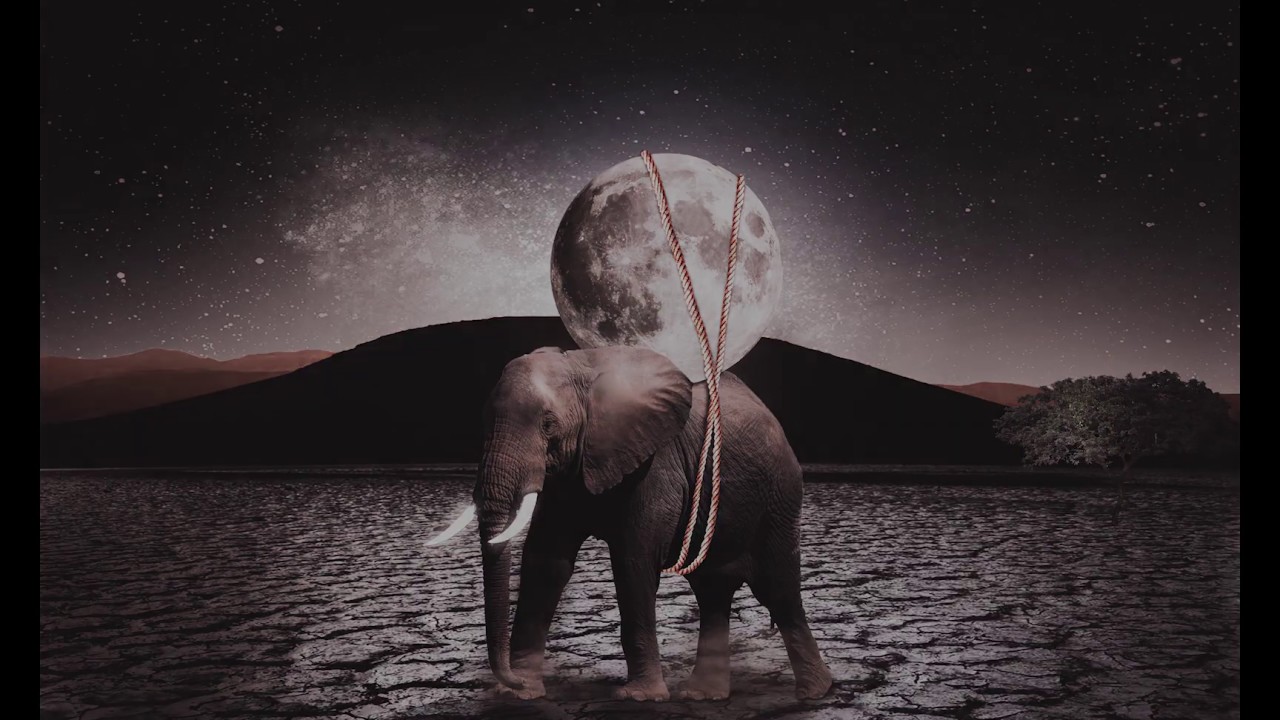 Fantacy Elephant//Speedart//Photoshop manipulation tutorial - YouTube