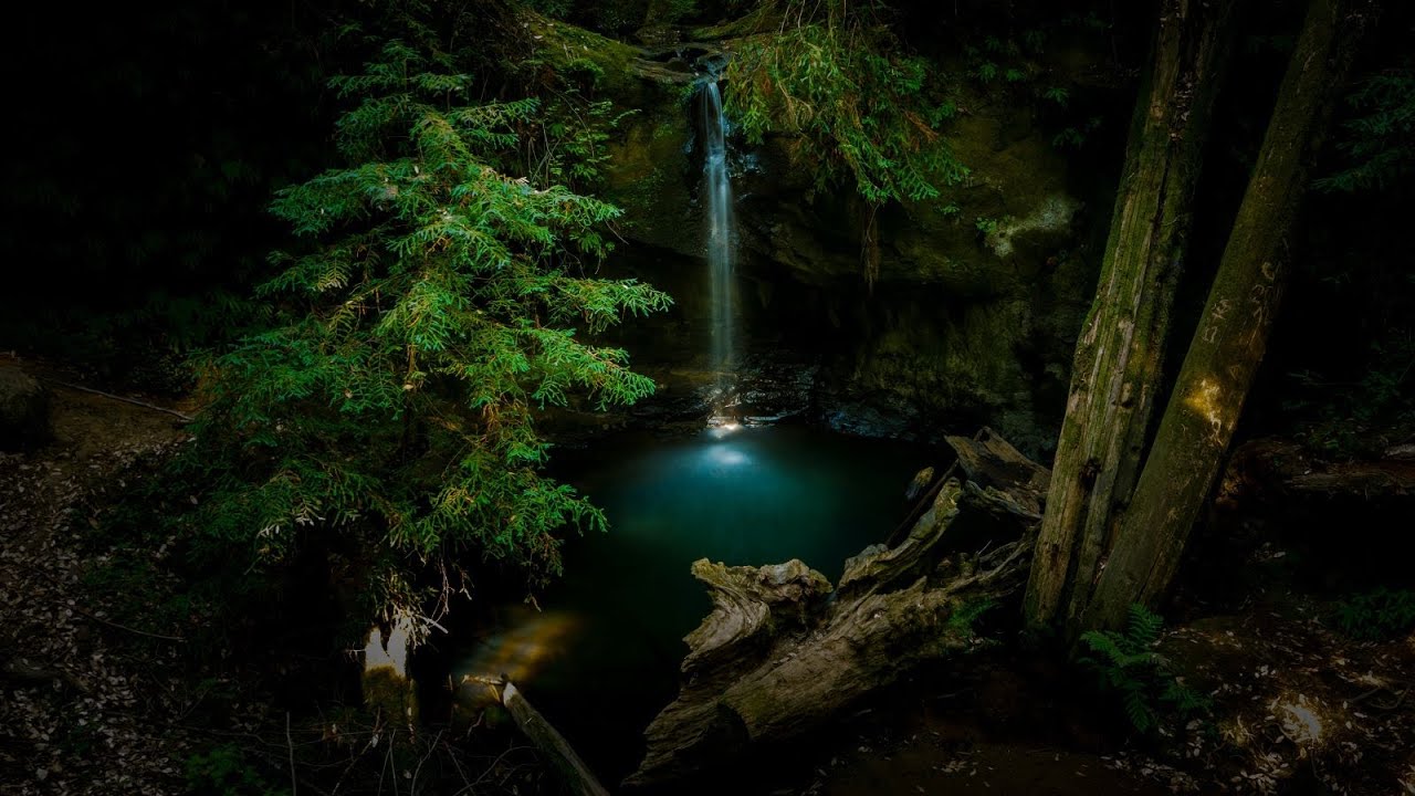 Ancient Rainforest Sound Journey | Organic Chillout | Ambient | Sound ...