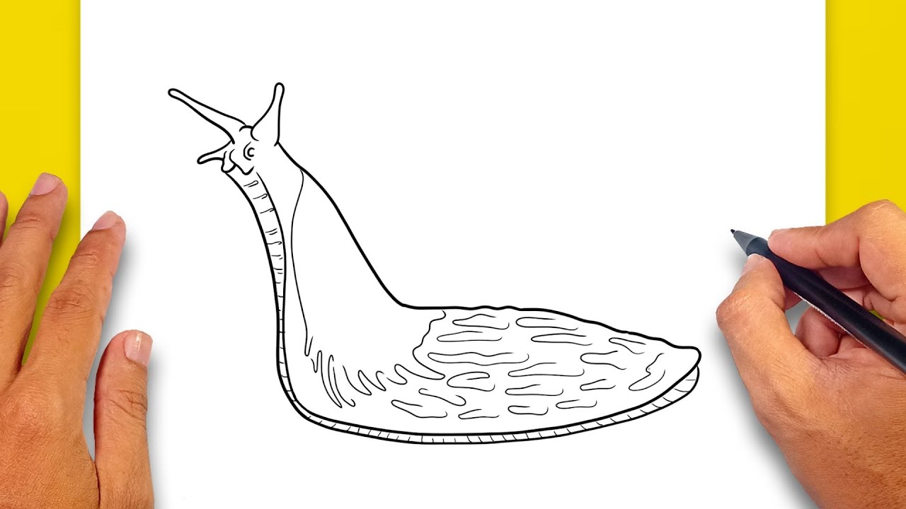 How to draw Slug - YouTube