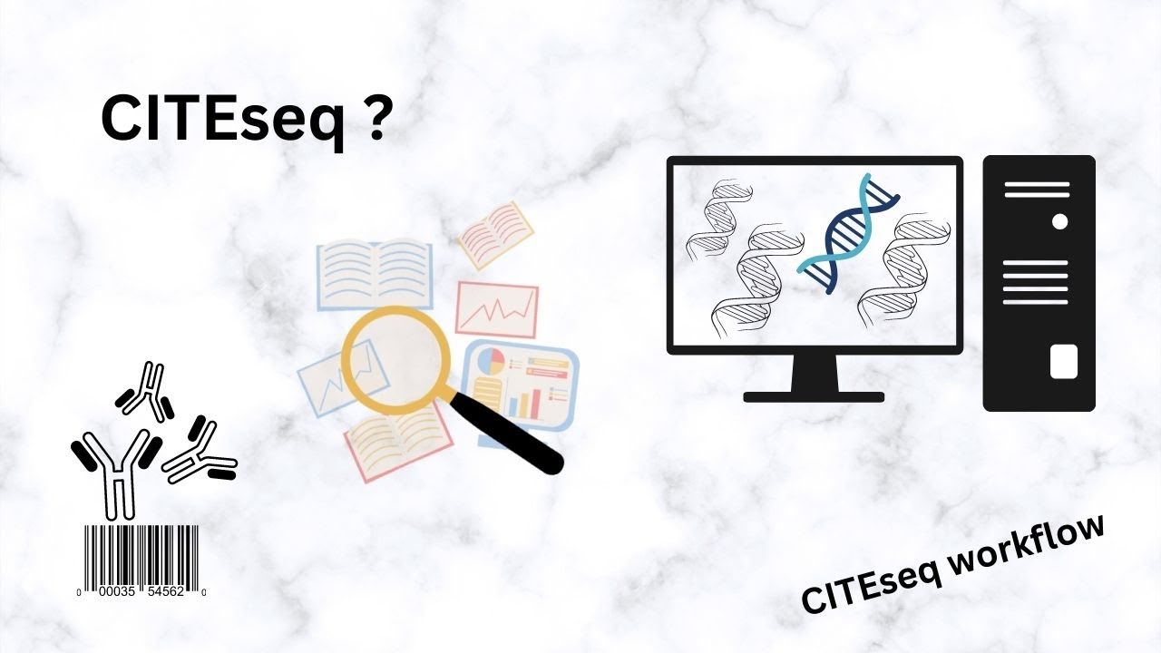 CITEseq Introduction and Workflow | molecular biology | RNAseq | NGS ...