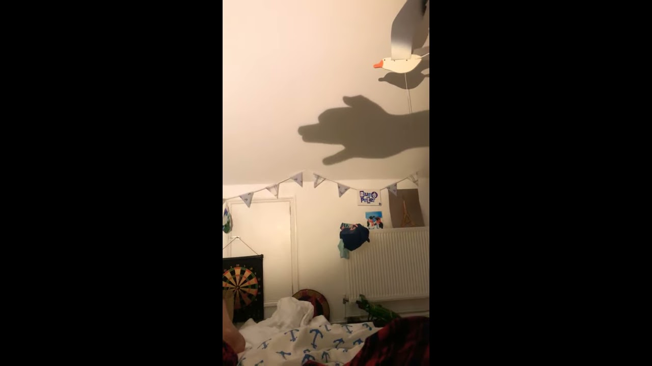 Shadow puppet dog - YouTube