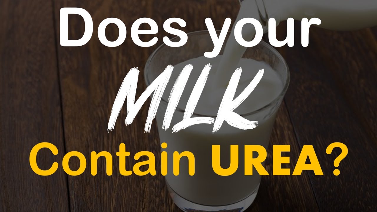 Does Your Milk Contain Urea? | How to Identify Adulteration and ...
