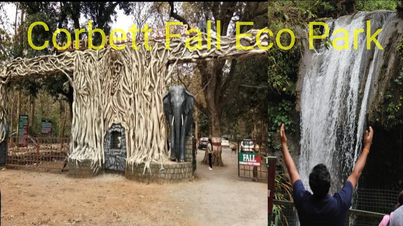 Corbett Fall Eco Park |Corbett Fall Vlog |Tourist place Corbett Fall ...