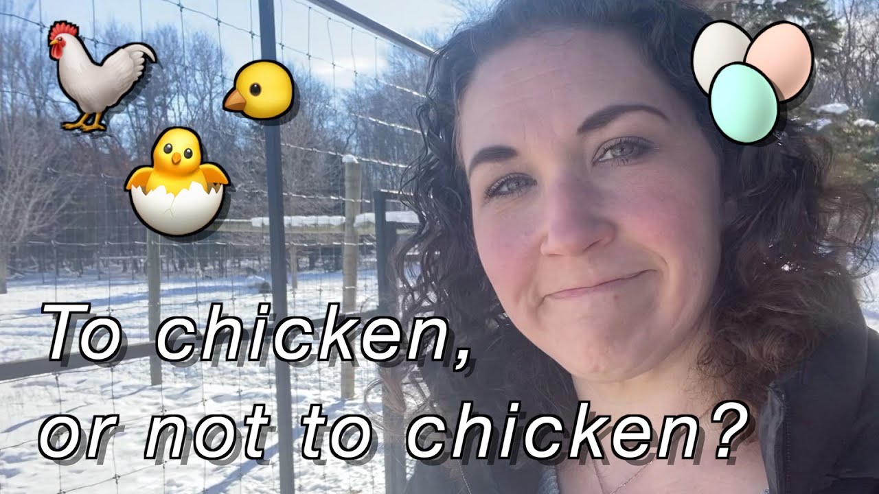 #230 Not to EGG you on... Let's talk Chickens! Are they a good fit for ...