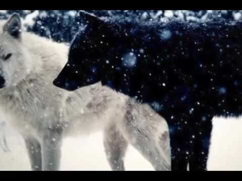 Rasim Zeka Brat ay Brat