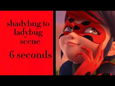 shadybug turns into ladybug scene for 6 seconds||Miraculous Shadybug and claw noir special