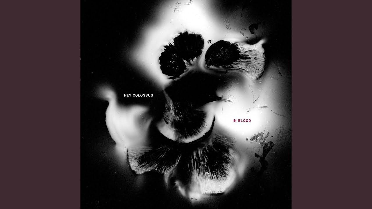 I Could Almost Care - YouTube