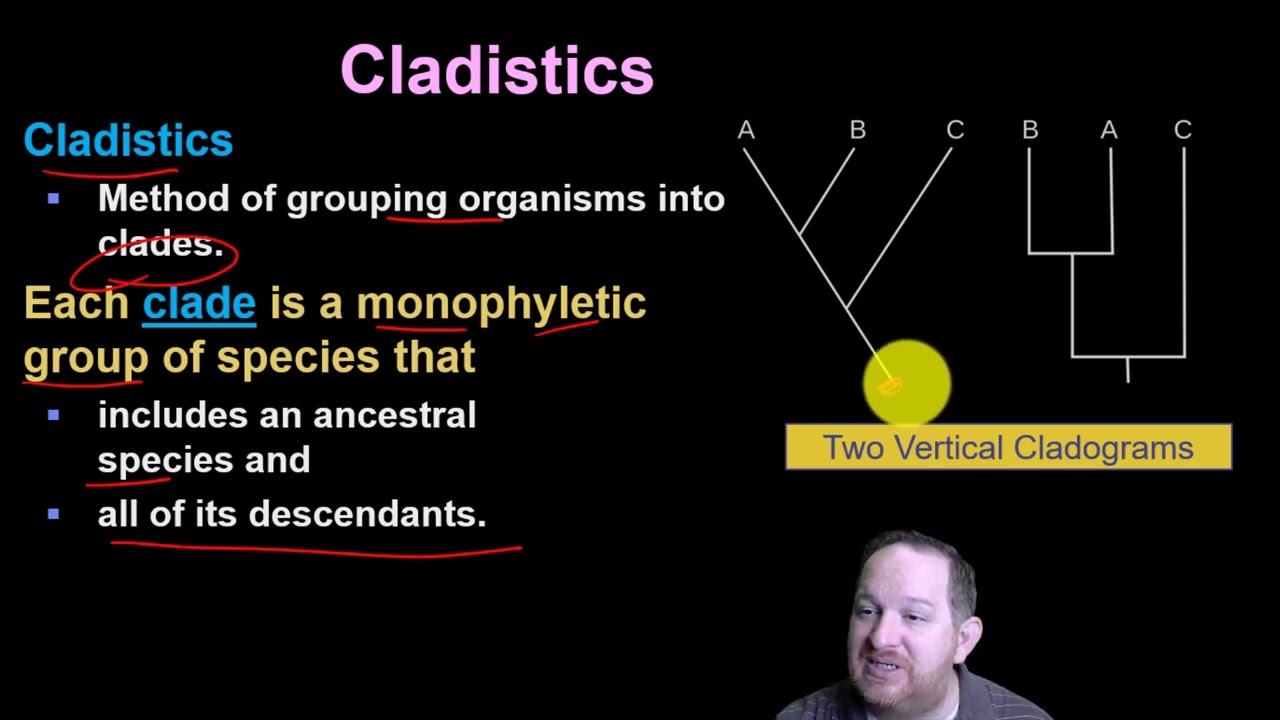 41. Systematics Phylogeny and Cladistics - YouTube