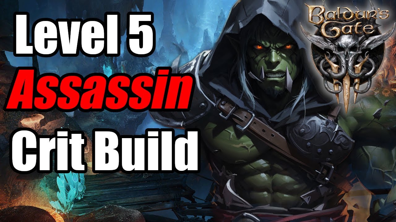 Epic Assassin/Paladin Crit Build | Baldurs Gate 3 - YouTube