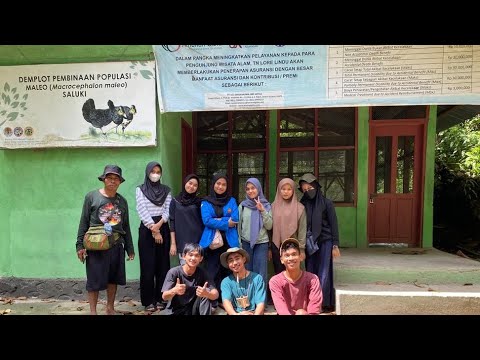 Karakteristik Morfologi Dan Morfometri Telur Burung Maleo Di ...