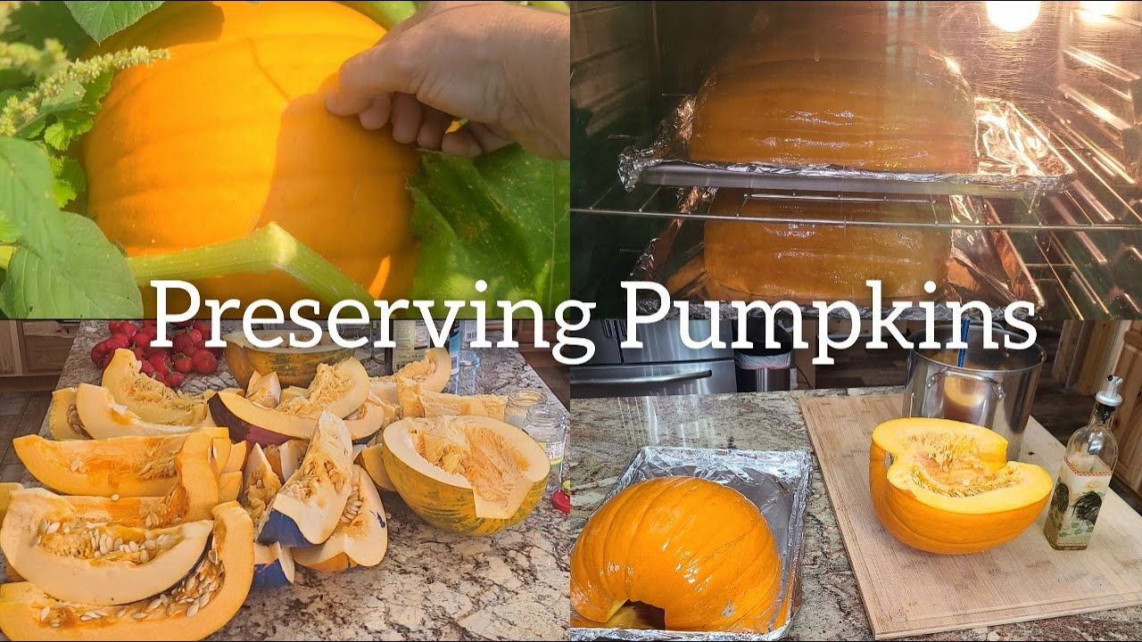 *NEW* Preserving Pumpkin from Harvesting to Pantry and Freezer - YouTube