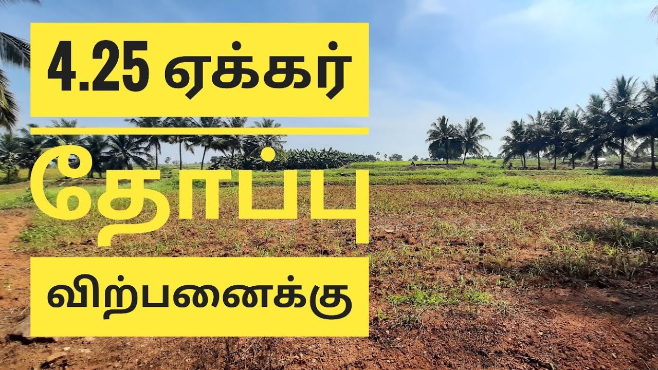 (விற்பனை முடிந்தது) 4.25 ஏக்கர் தோப்பு விற்பனைக்கு - YouTube