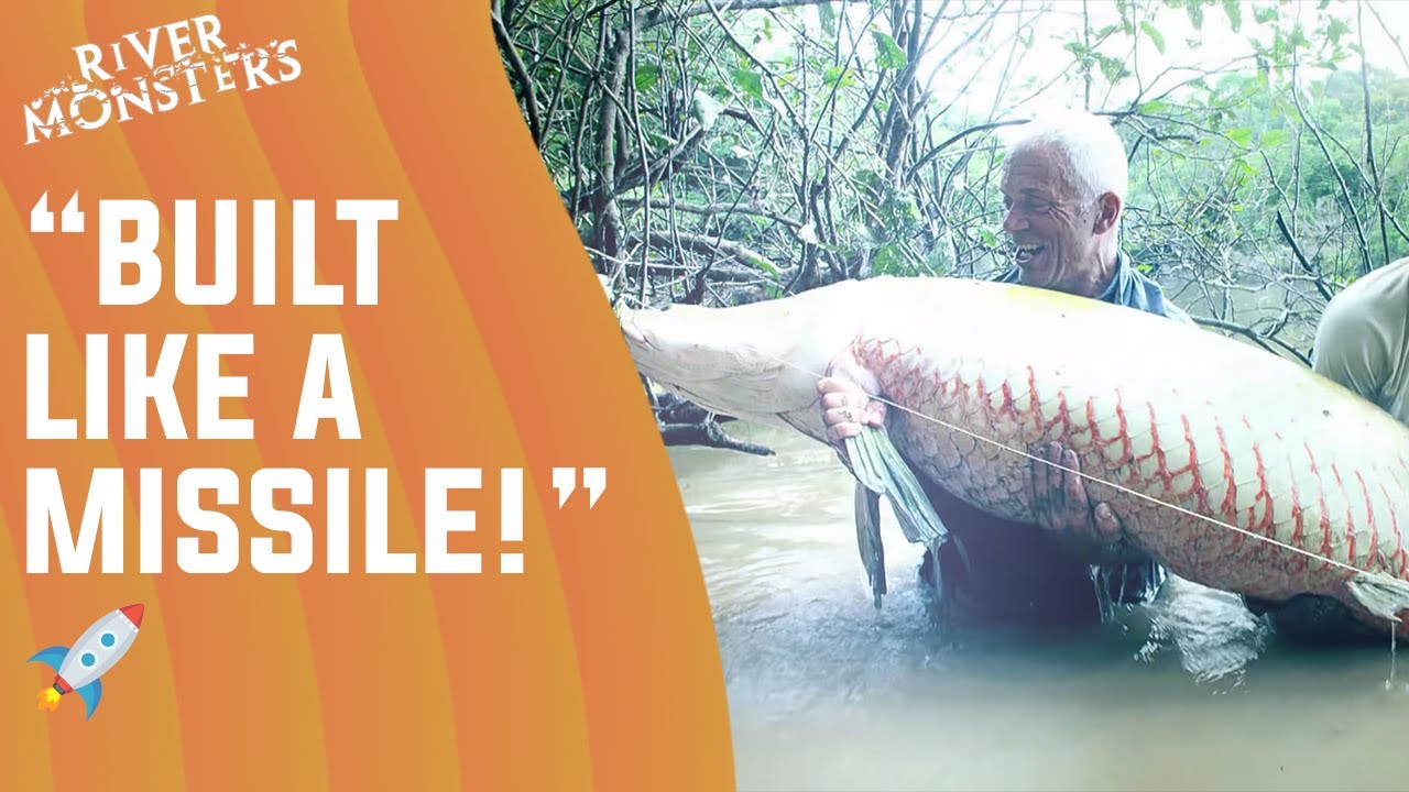 250lb Arapaima Jeremy Wade