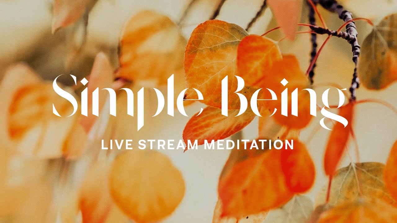 Embodiment Meditation - Simple Being (Live Stream) | September 2023 ...