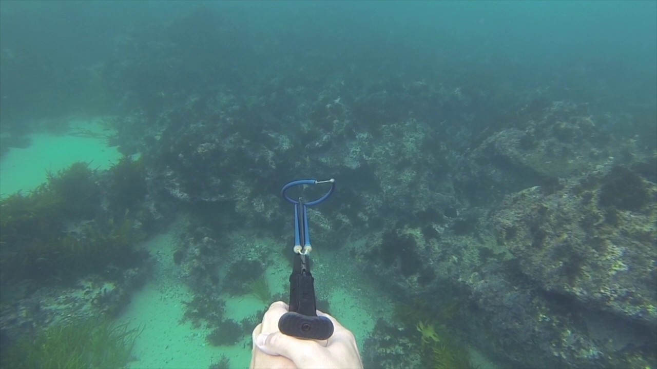 reef hunter spearfishing vol 2 - YouTube