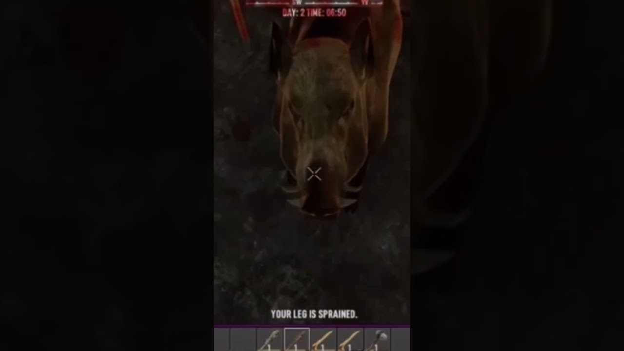 Pigsly Go BOOM - YouTube