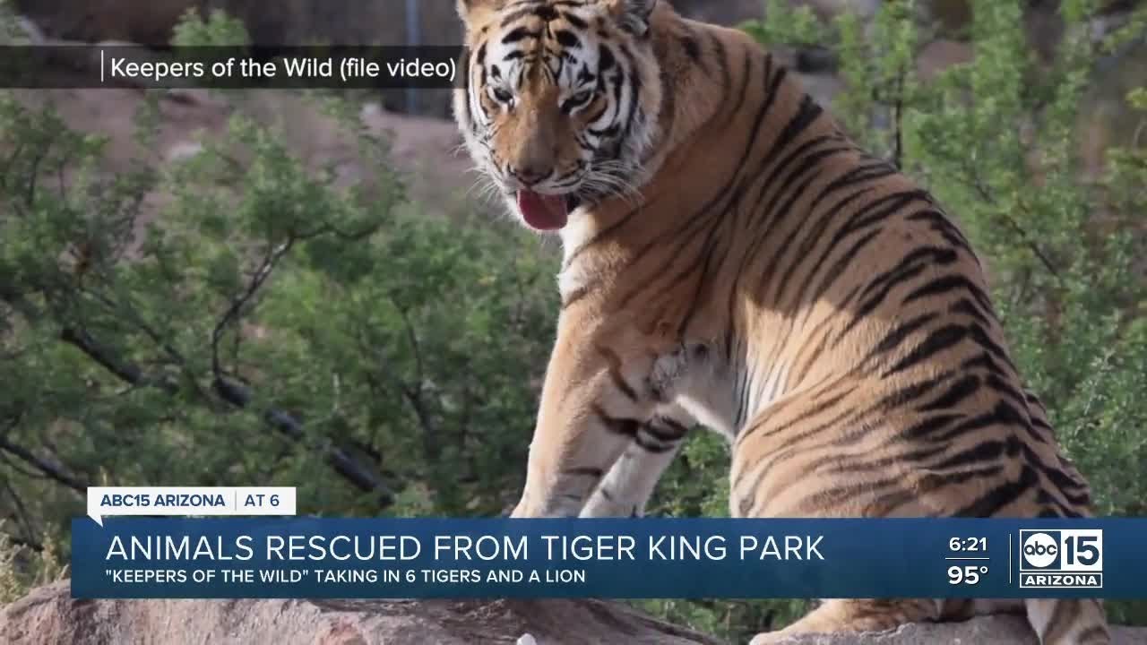 Animals rescued from Tiger King Park - YouTube