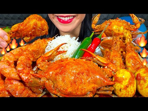 ASMR SPICY CHICKEN CURRY, CRAB CURRY, PRAWN CURRY, EGG CURRY, RICE MASSIVE Eating Sounds