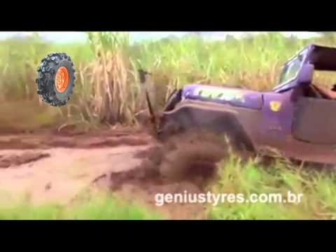 Genius Ignorante - YouTube