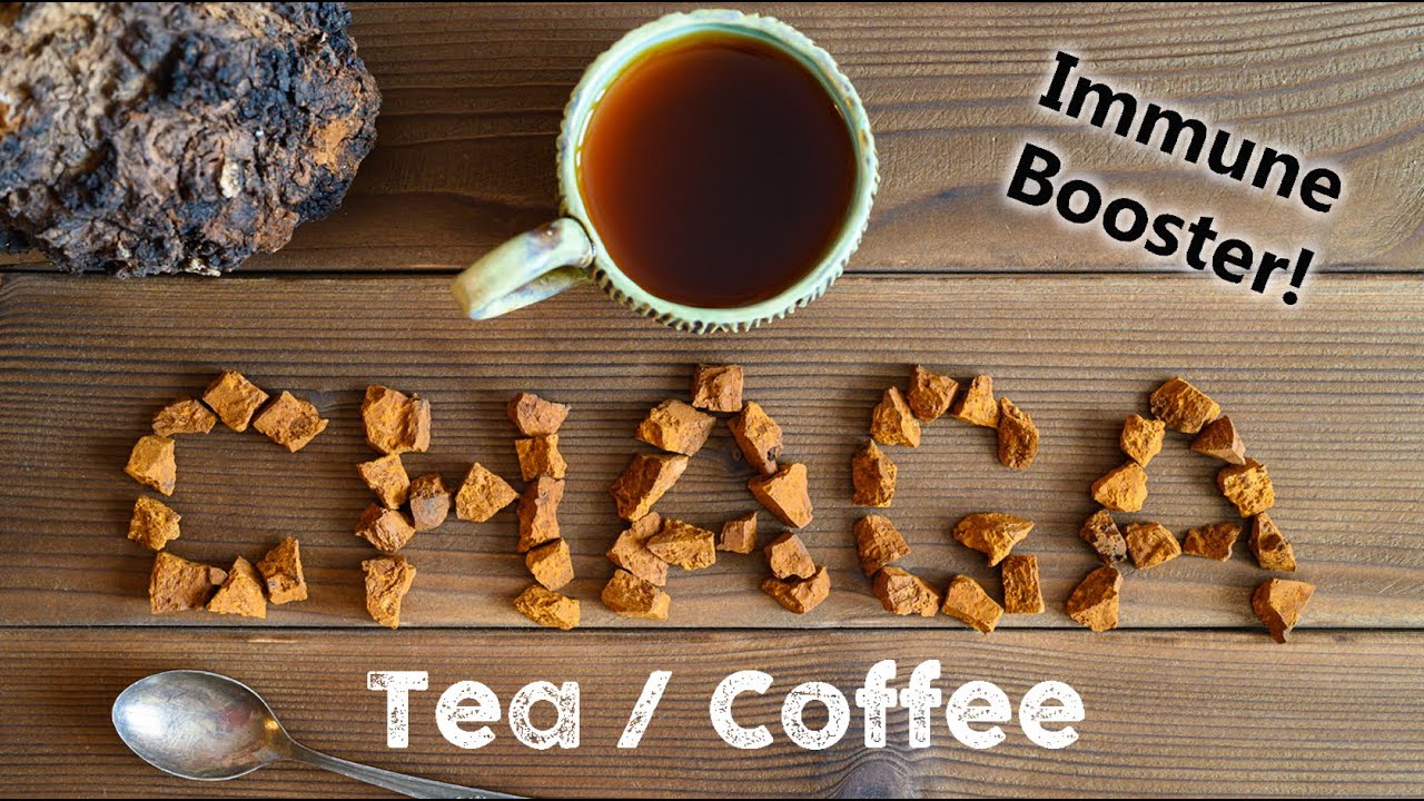 Quick Chaga Tea aka Chaga Coffee Brewing Instructions | An Antioxidant ...