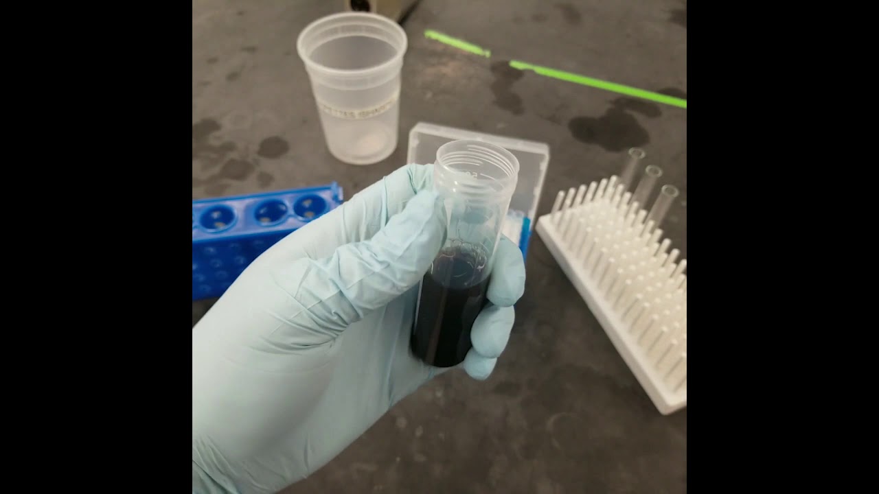 Accurate pipetting techniques - YouTube