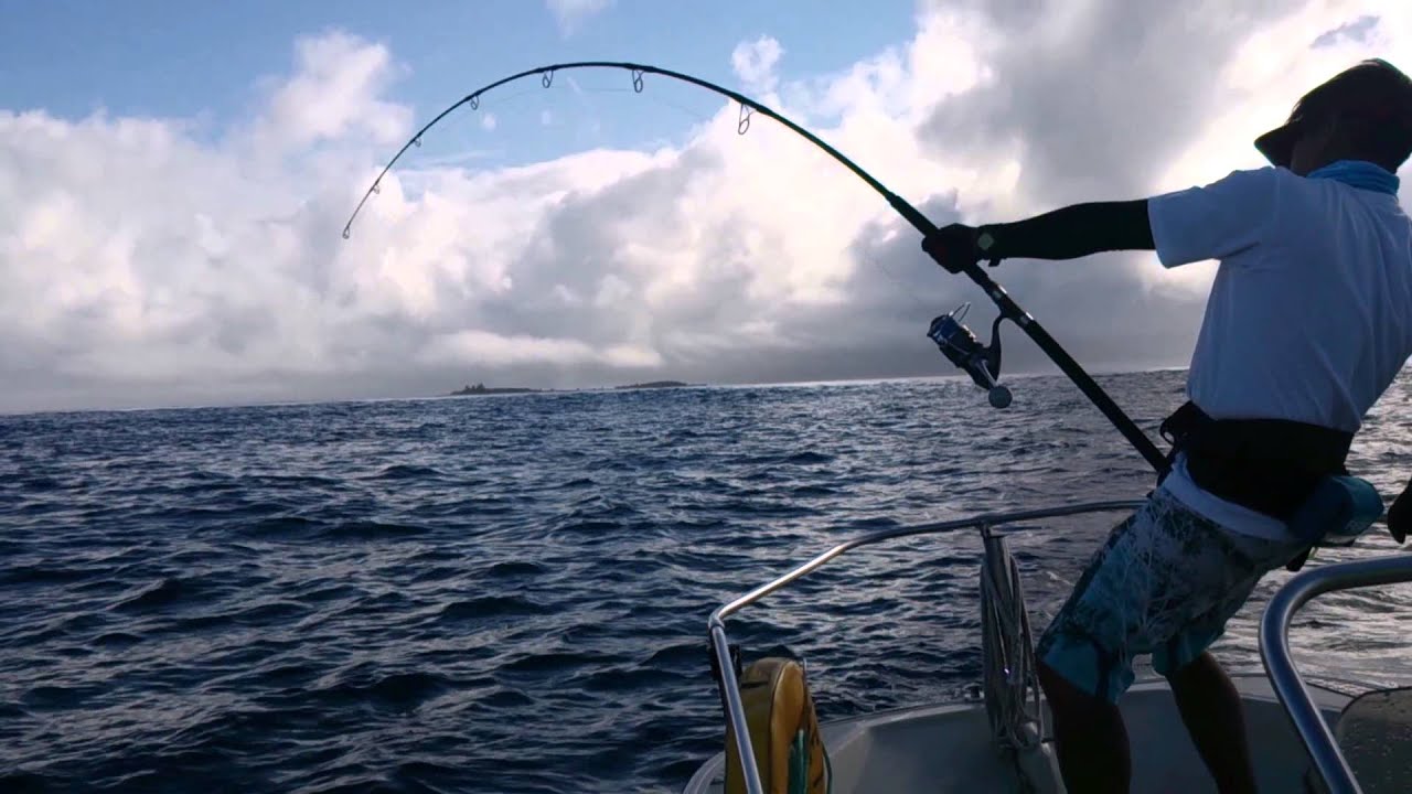 Tonga GT fight - YouTube