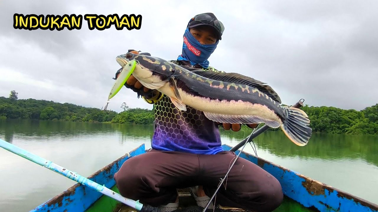 MAMA TOMAN MENGGANAS ANAKNYA DI GANGGU || CASTING TOMAN - YouTube